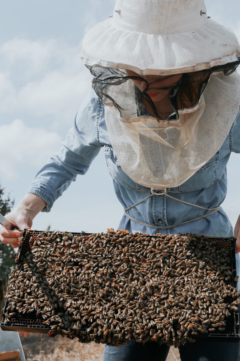 Erika Thompson, Queen Bee of Social Media's Beekeeping and Bee Removals ...